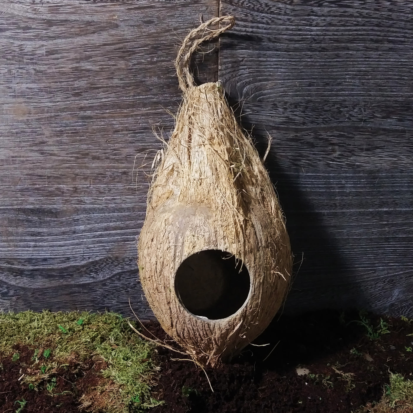 Reptile Hides| The Reptiles of Eden