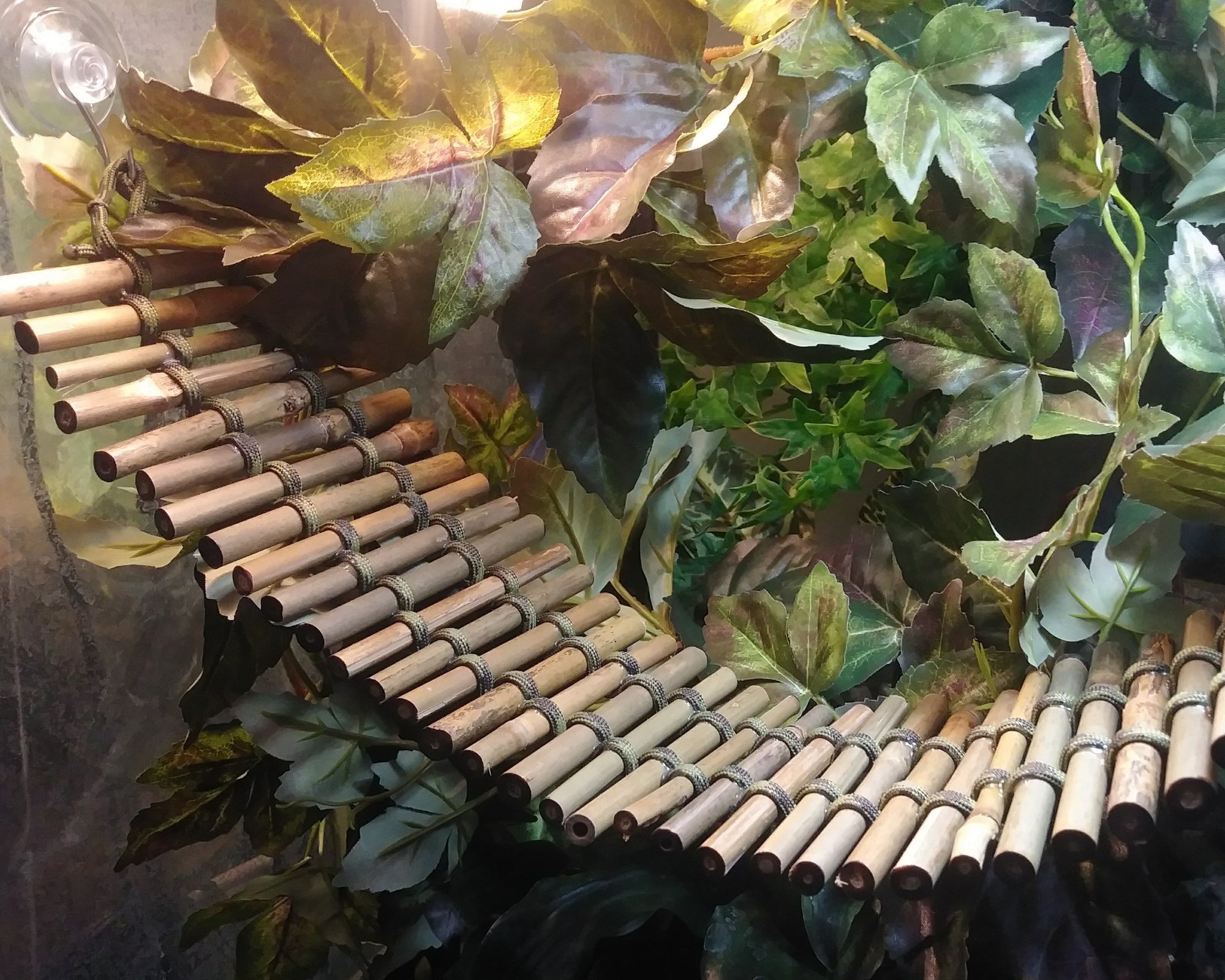 Mini Bamboo Bridge - 2.5" Width| The Reptiles of Eden